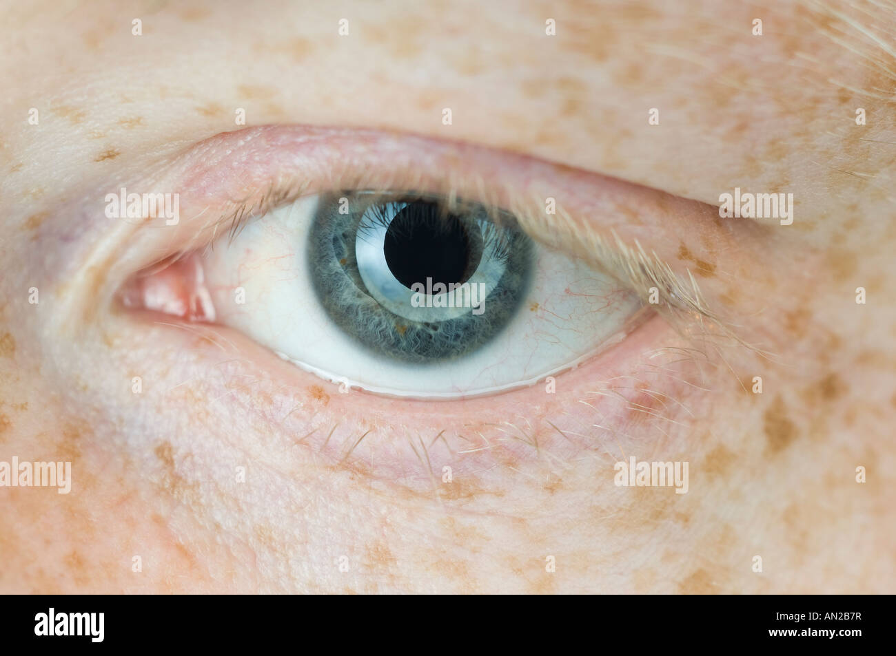 Brooding eyes hi-res stock photography and images - Alamy