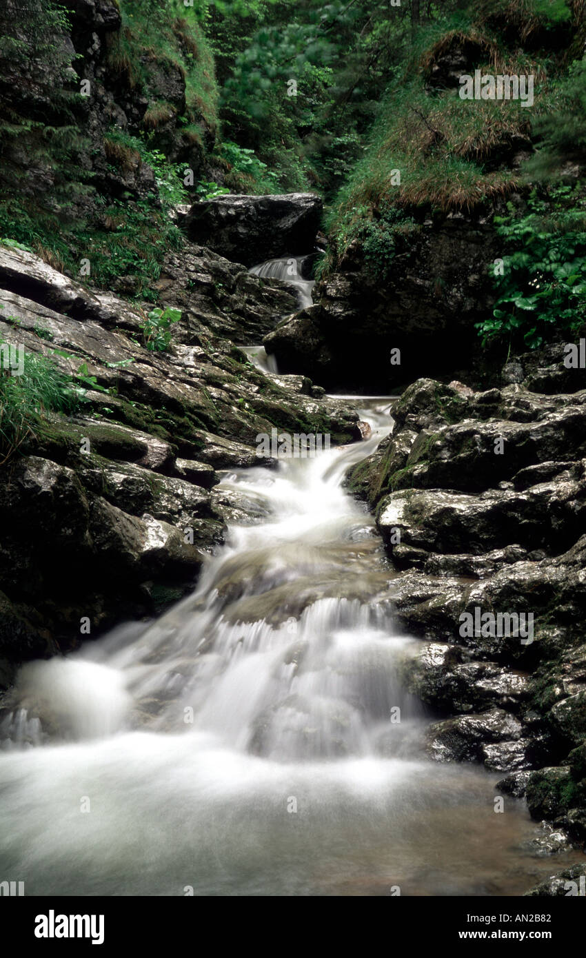 Raztoka rill, Slovakia Stock Photo - Alamy