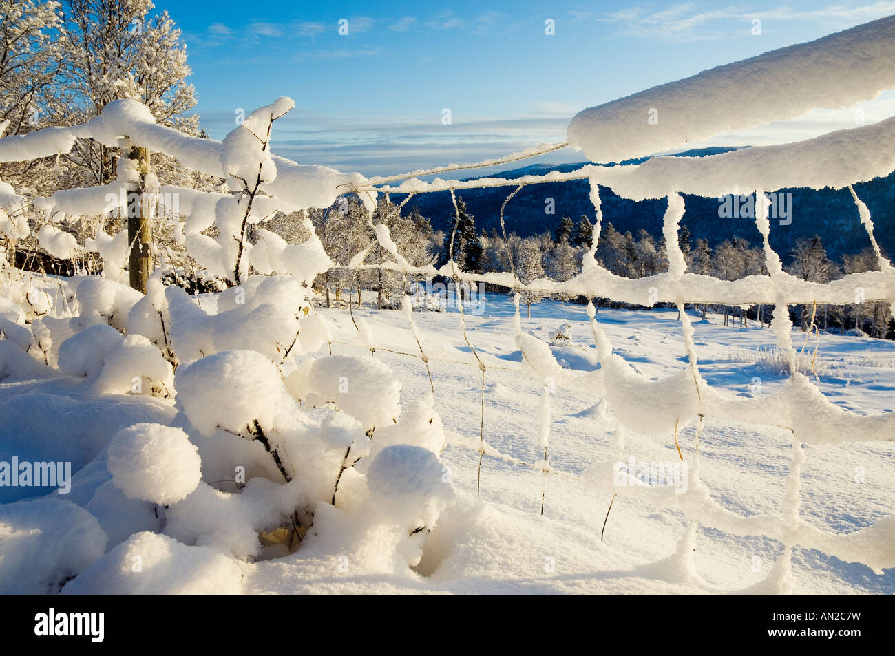 Winter landscape Geilo Norway Stock Photo - Alamy