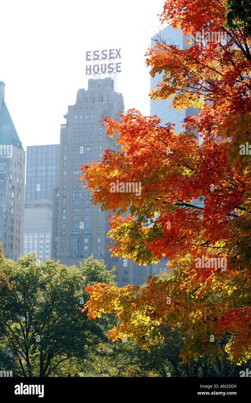 The Fall In Central Park Stock Photo - Alamy
