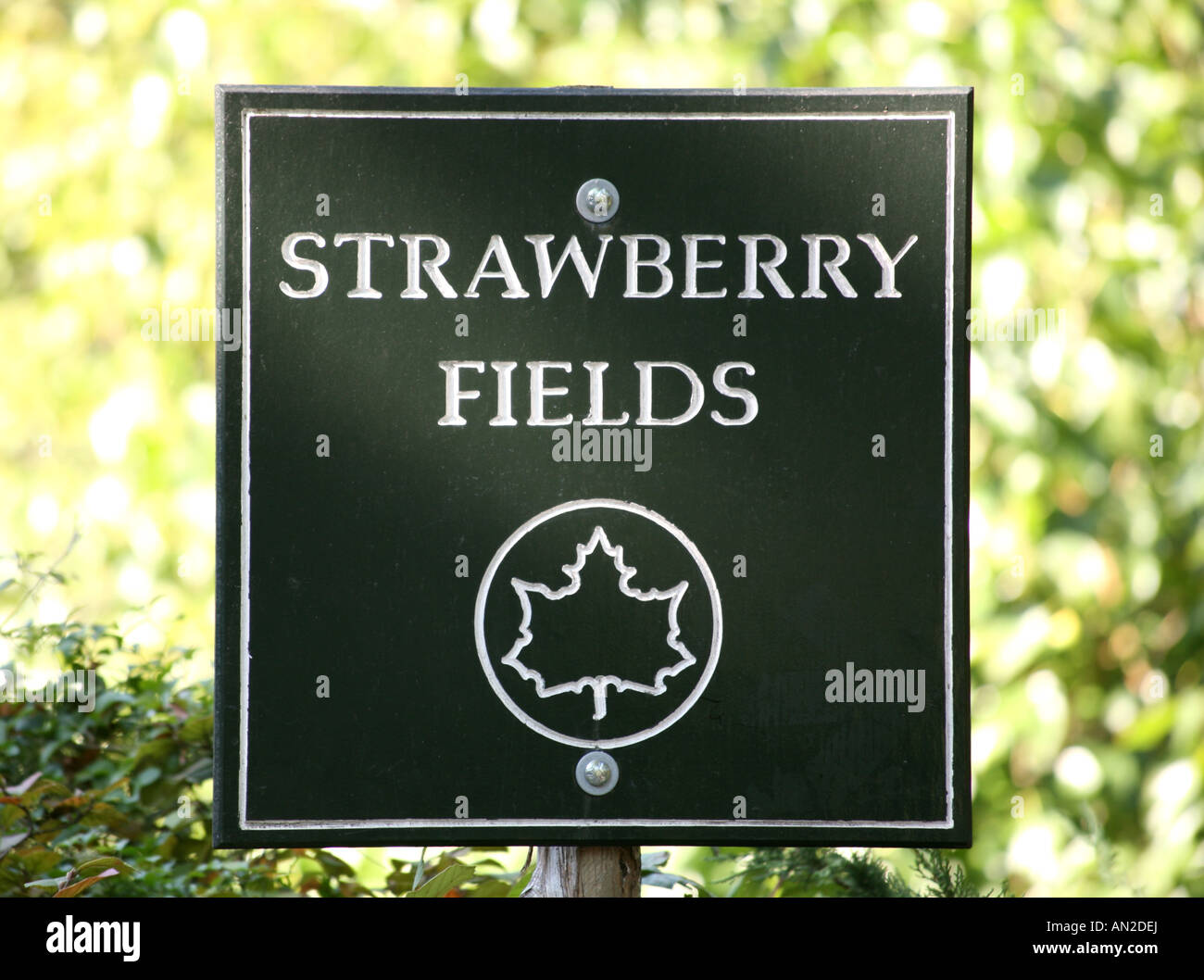 Central Park, Strawberry Fields Stock Photo - Alamy