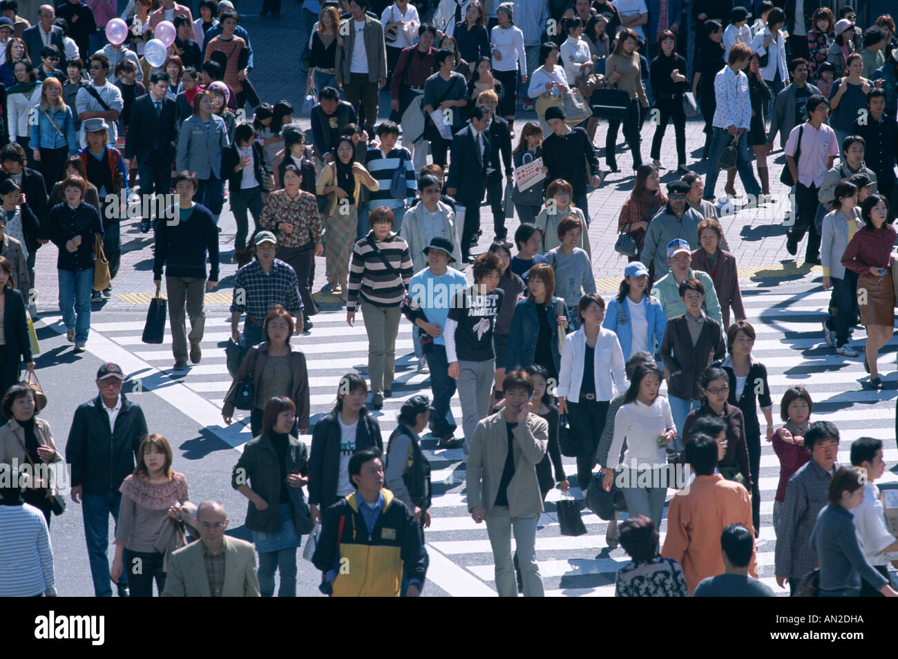 Shibuya / Crowd of People / Pedestrians, Tokyo, Honshu, Japan Stock ...