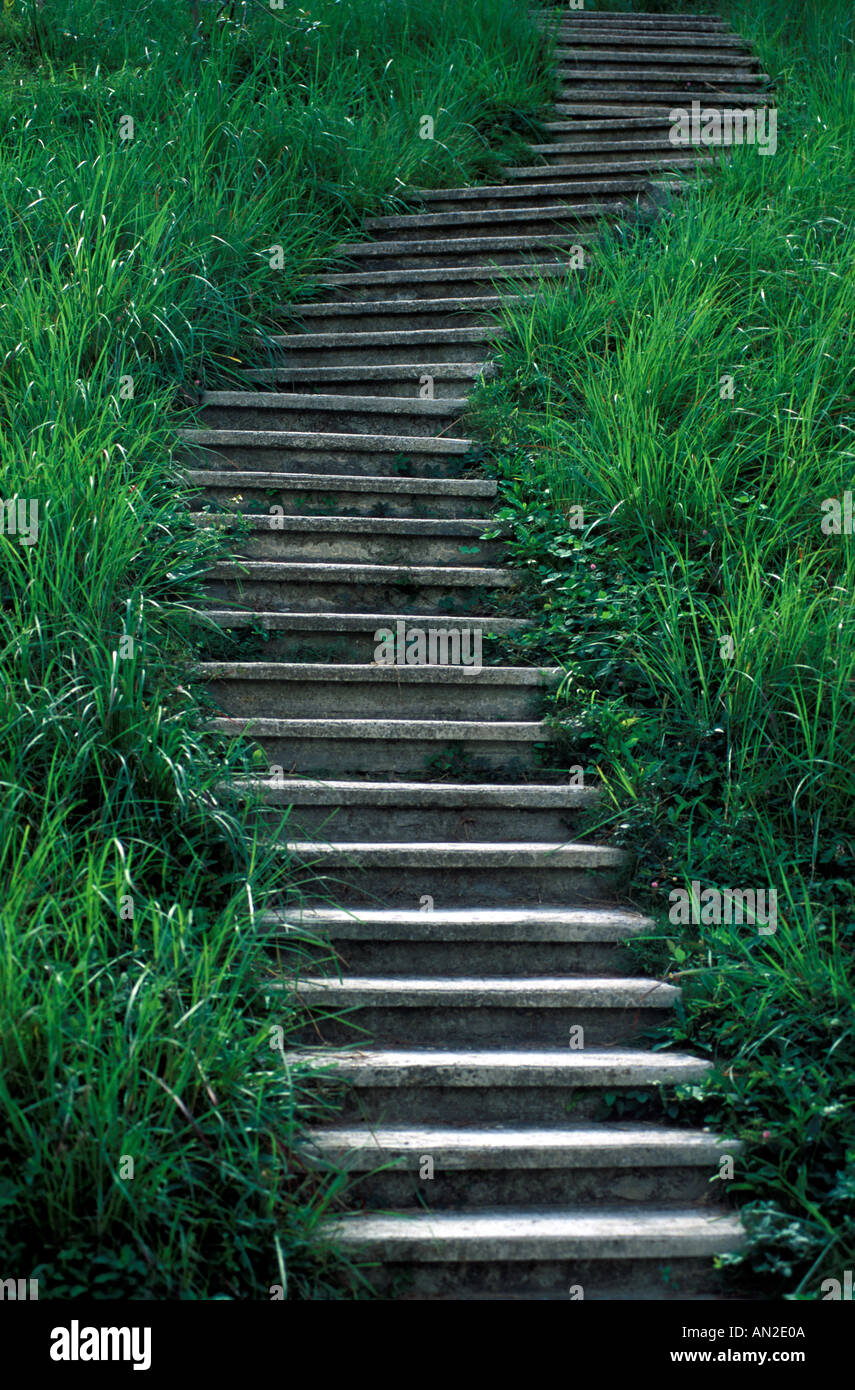 Steps in Hillside Stock Photo - Alamy