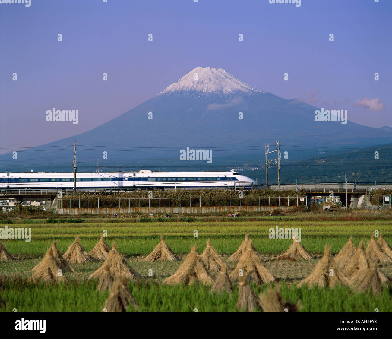 Mount Fuji / Bullet Train & Rice Fields, Fuji, Honshu, Japan Stock ...