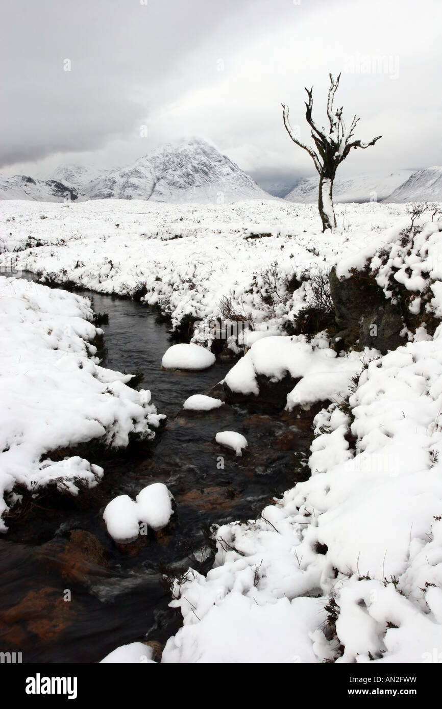 Dead to m hi-res stock photography and images - Alamy