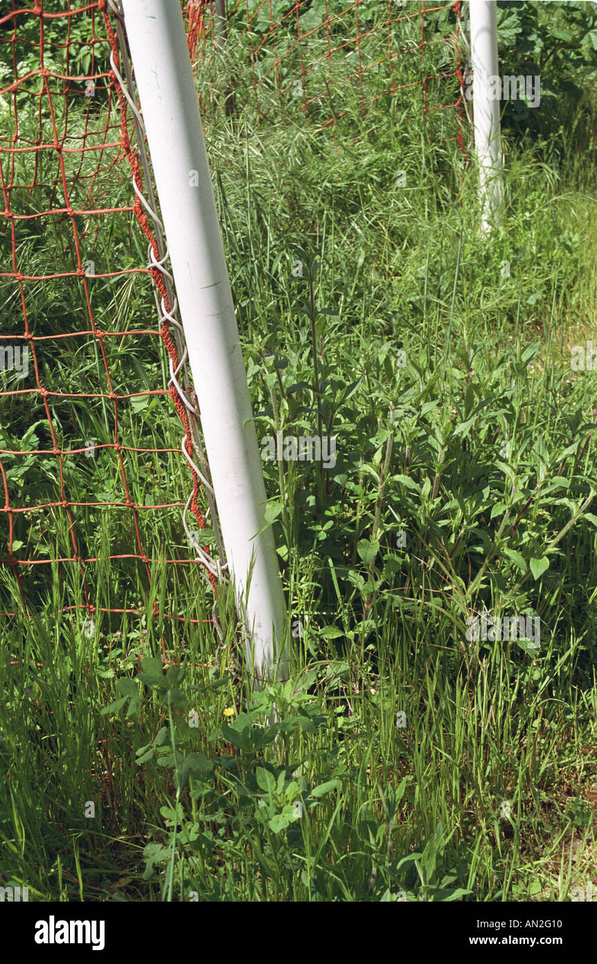 football goal posts in overgrown grass Stock Photo - Alamy