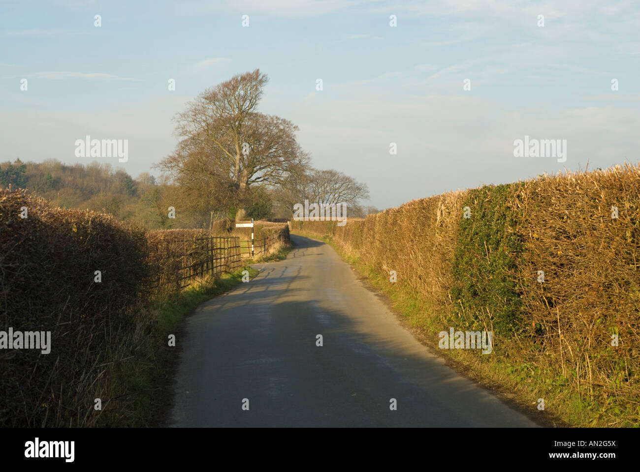 single track country lane Stock Photo - Alamy