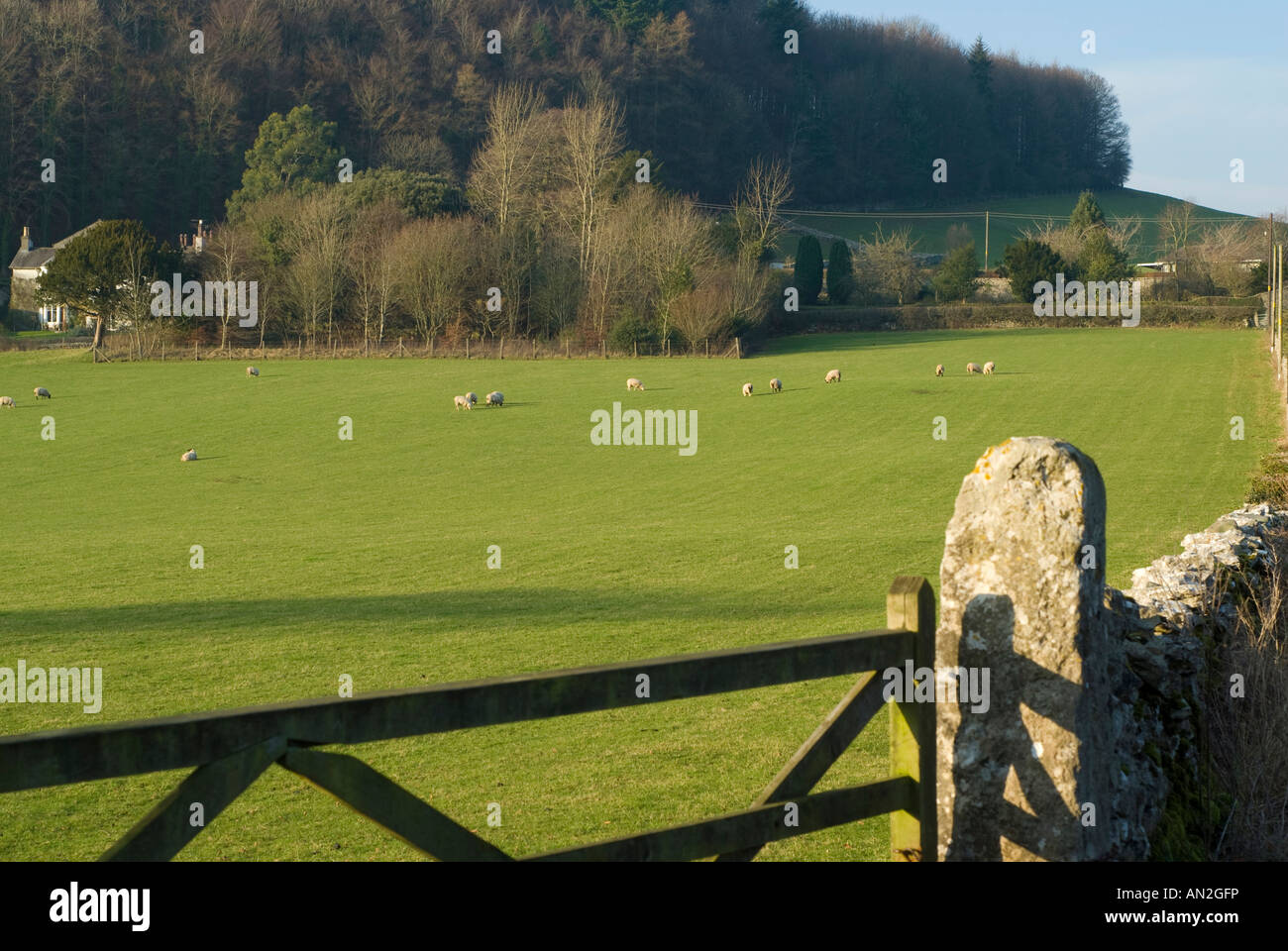 View over field gate hi-res stock photography and images - Alamy