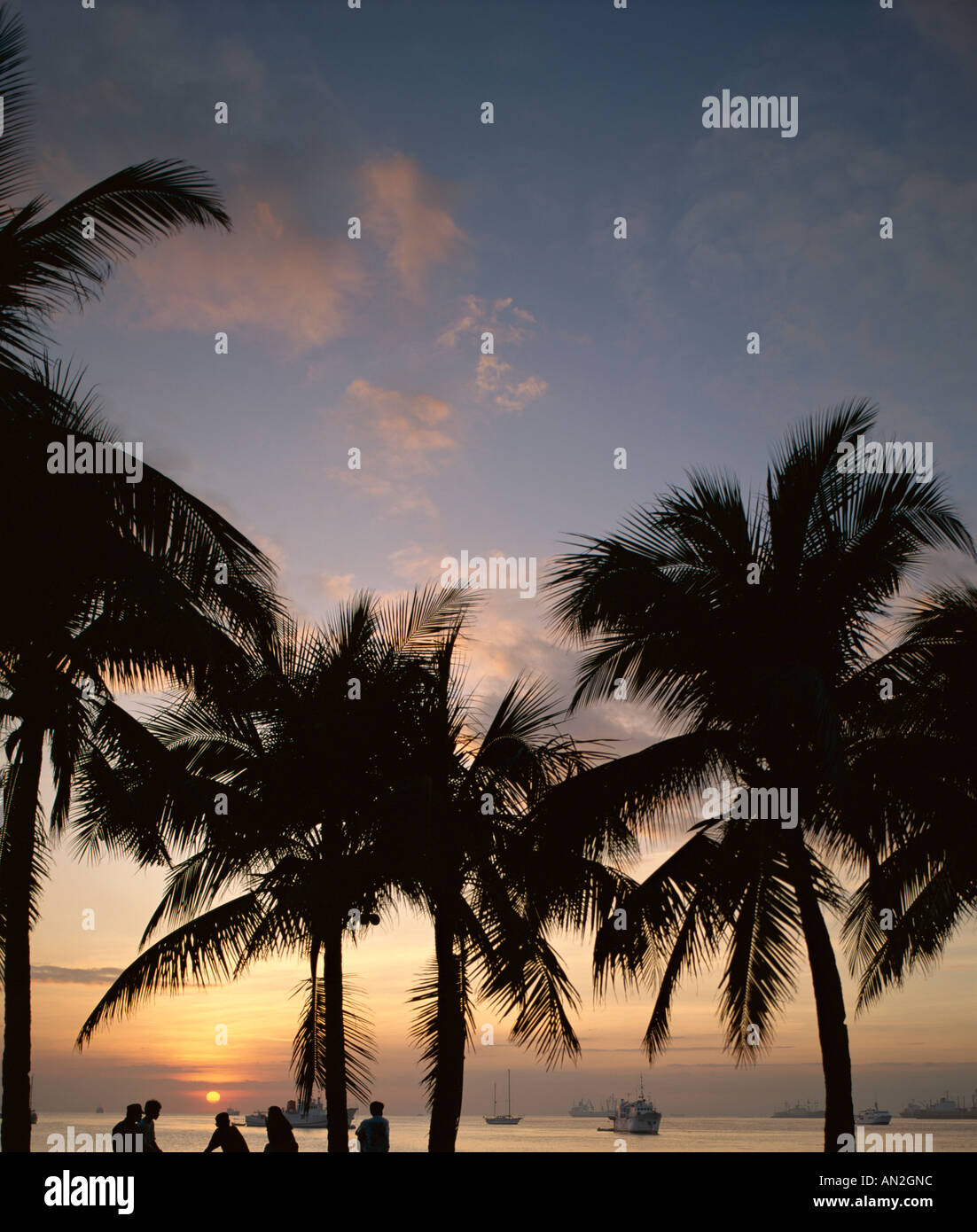 Manilla Bay / Palm Trees at Sunset, Manilla, Philippines Stock Photo ...