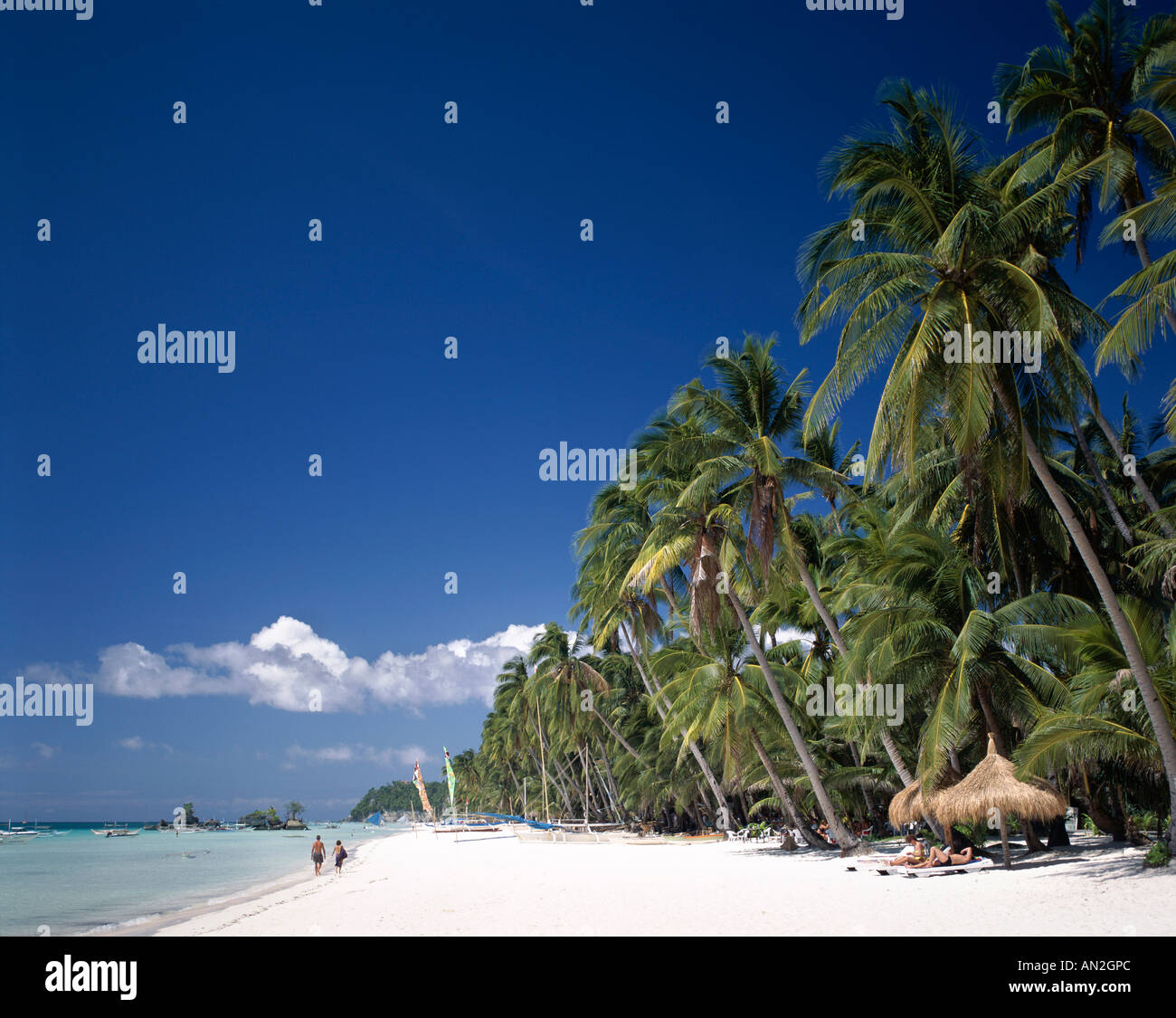 Boracay Beach / Palm Trees & Sand, Boracay Island, Philippines Stock ...