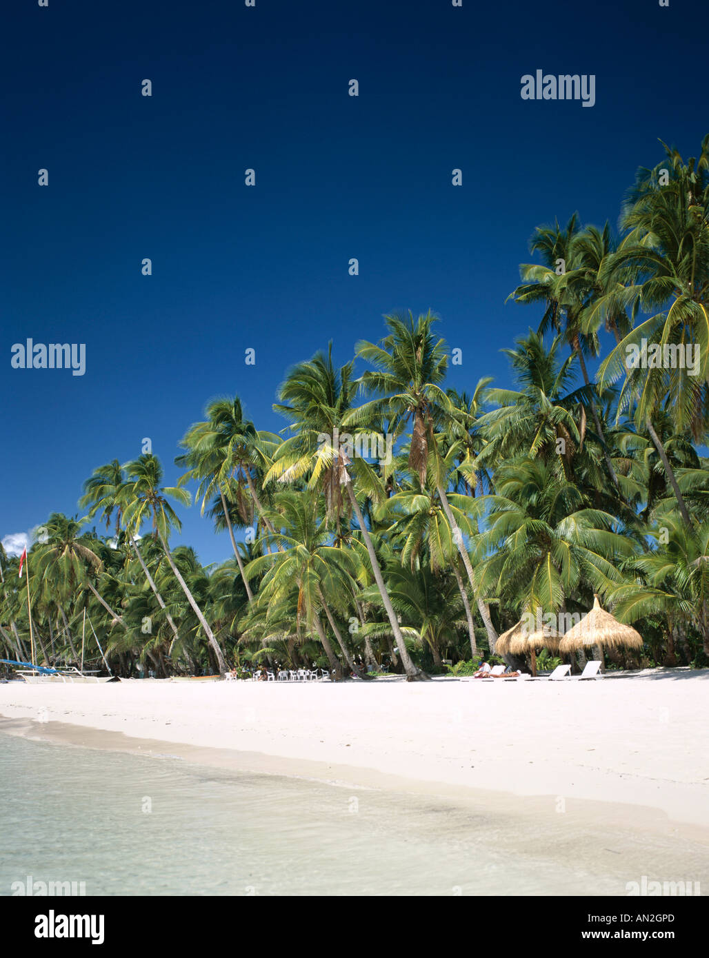 Boracay Beach / Palm Trees & Sand, Boracay Island, Philippines Stock ...