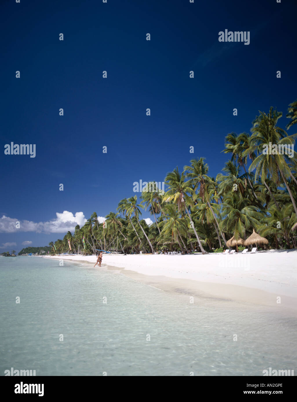 Boracay Beach / Palm Trees & Sand, Boracay Island, Philippines Stock ...