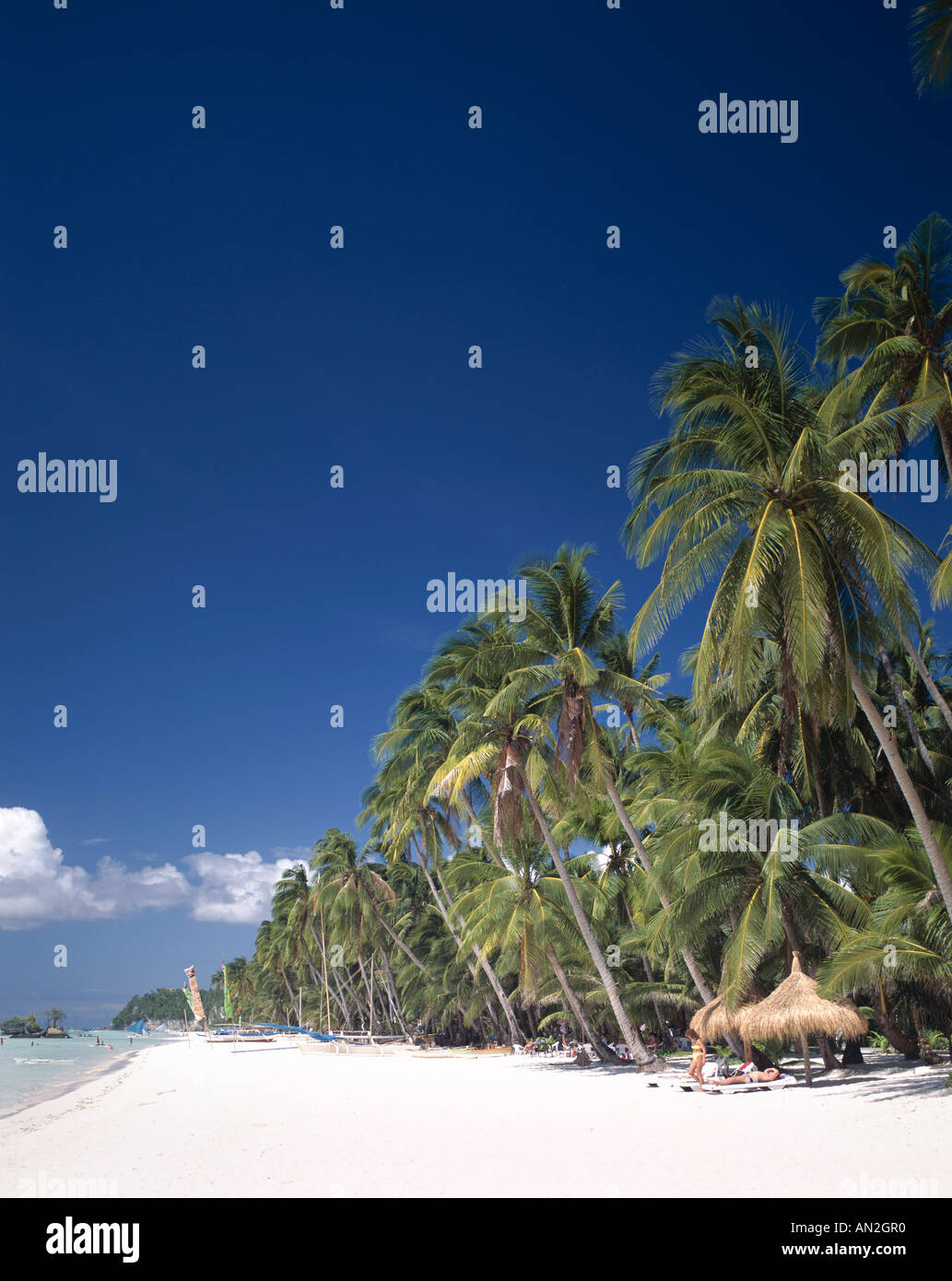 Boracay Beach / Palm Trees & Sand, Boracay Island, Philippines Stock ...