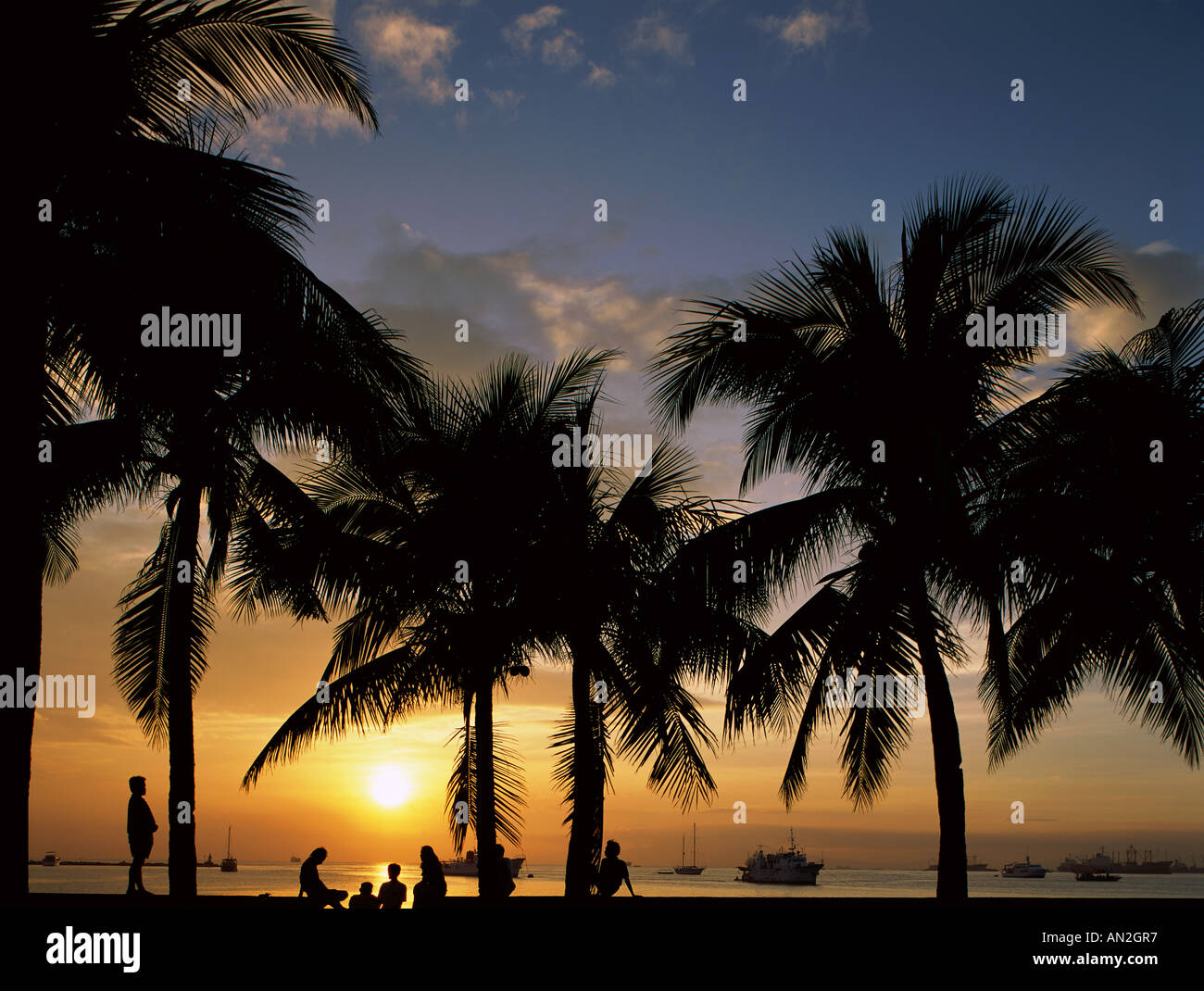 Manilla Bay / Palm Trees at Sunset, Manilla, Philippines Stock Photo ...