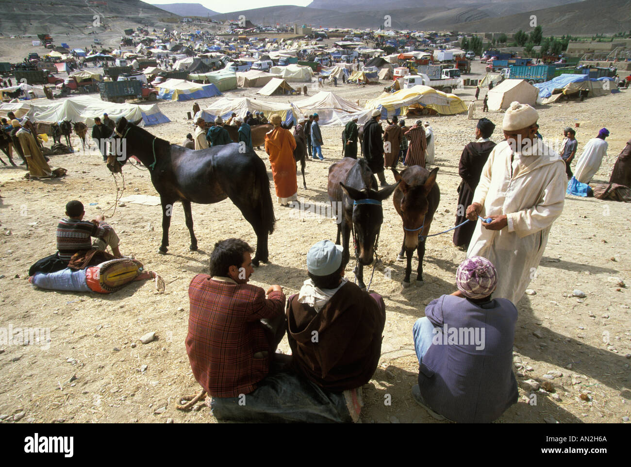Merchants sell livestock at the Imilchil Brides Fair the High Atlas ...