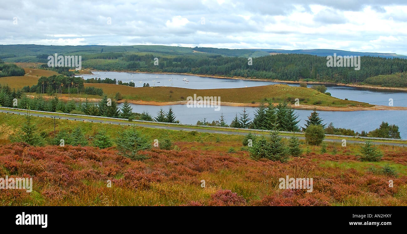 Northumberland National Park, Kielder Water Stock Photo - Alamy