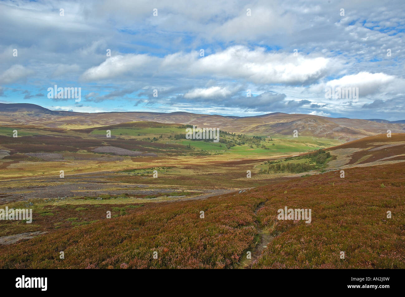Aberdeenshire, Highlands Near Balmoral Stock Photo - Alamy
