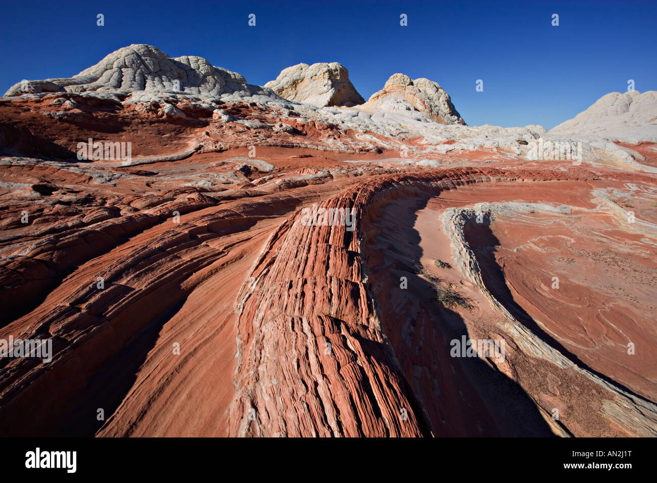 Amazing sandstone structures at White pocket Stock Photo - Alamy