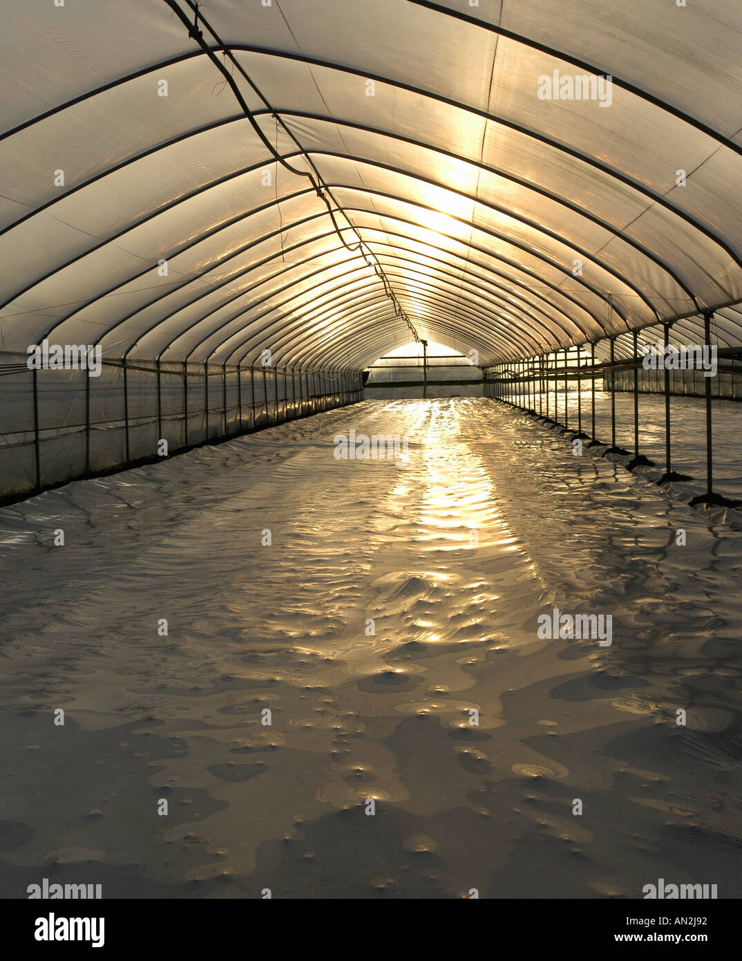 Soil solarization hi-res stock photography and images - Alamy