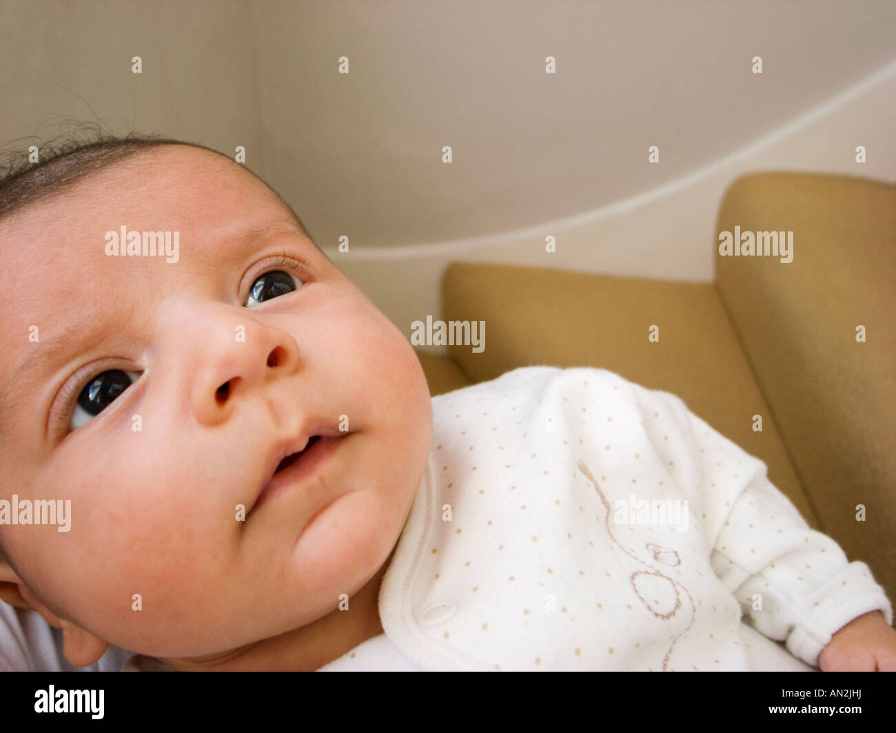 All about four weeks old hi-res stock photography and images - Alamy