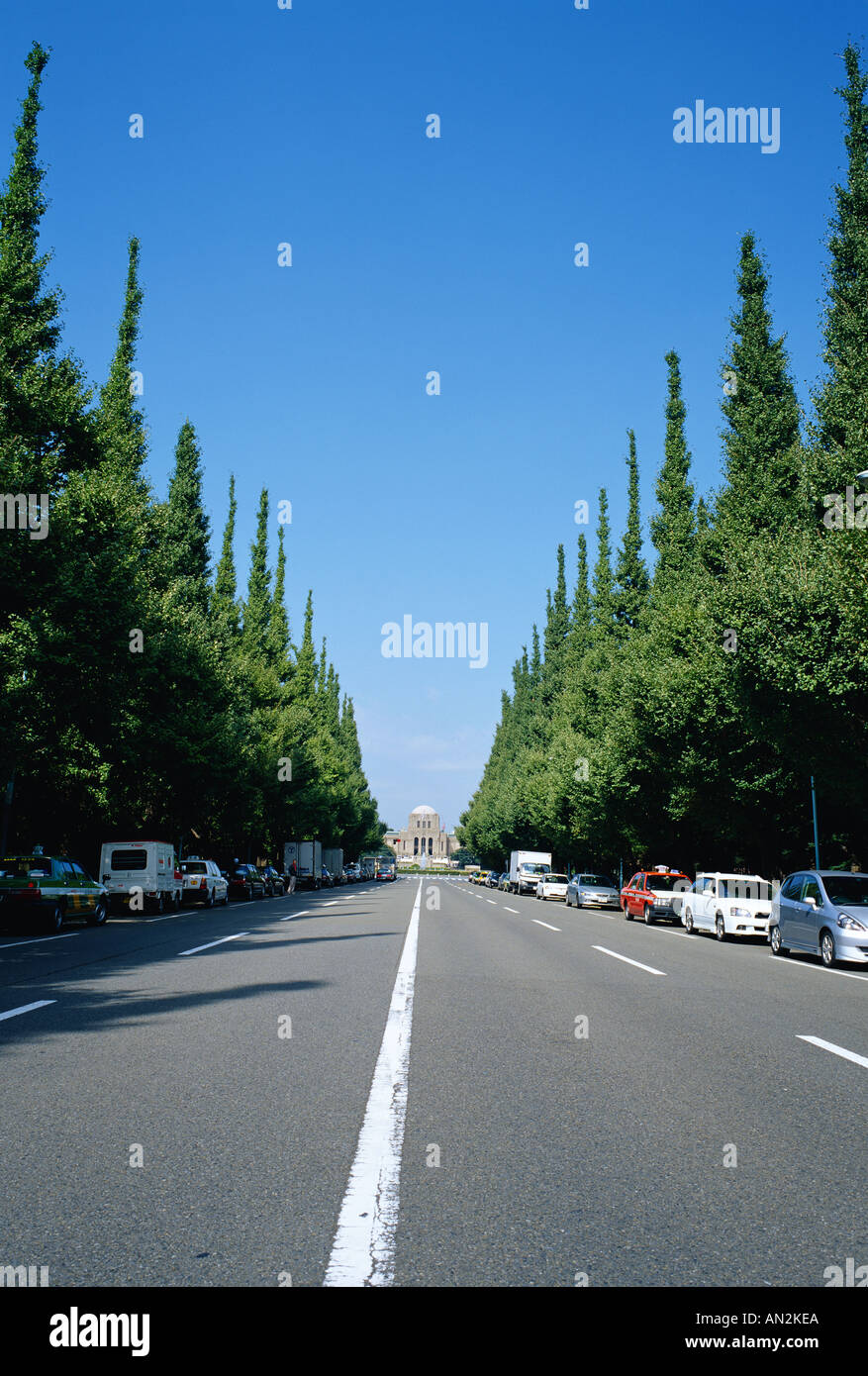 Boulevard trees at Jingu Gaien Tokyo Japan Stock Photo - Alamy