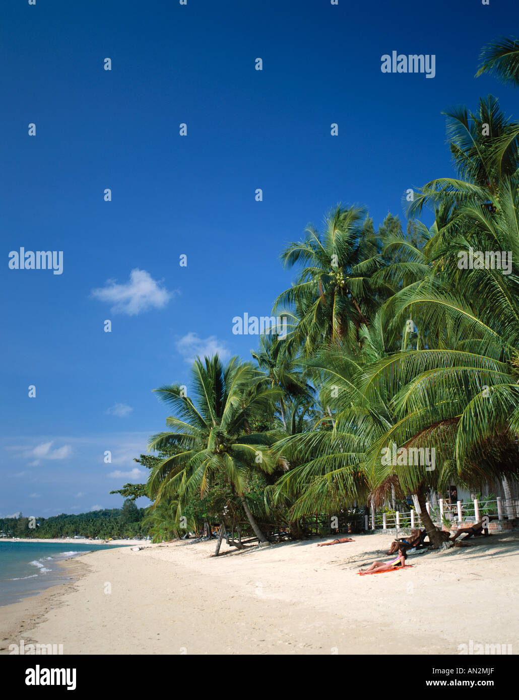Chaweng Beach / Sand / Palm Trees, Ko Samui, Thailand Stock Photo - Alamy