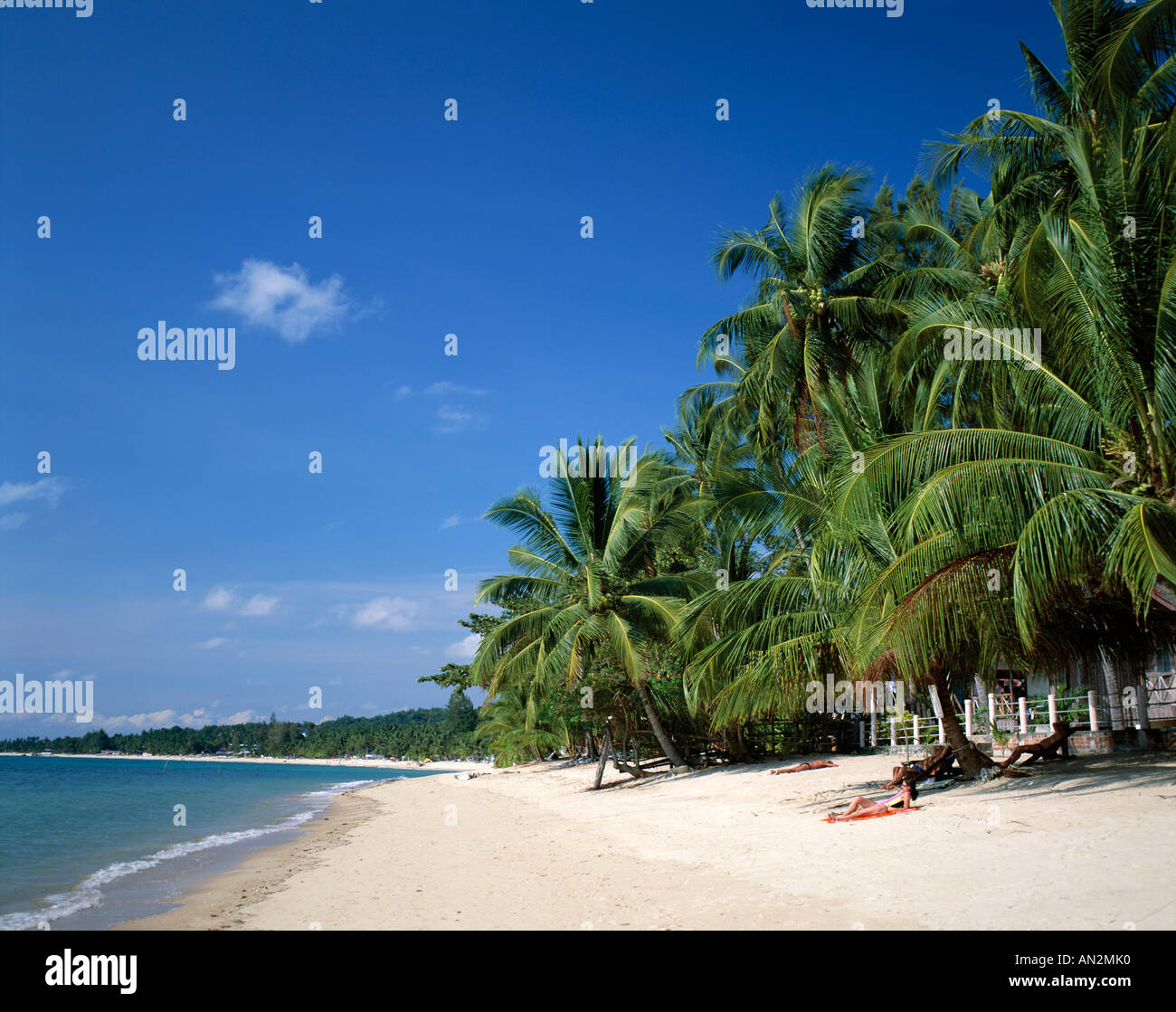 Chaweng Beach / Sand / Palm Trees, Ko Samui, Thailand Stock Photo - Alamy