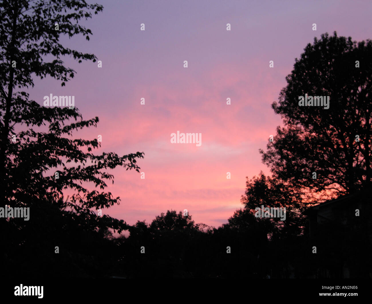 Sunset sky with trees Stock Photo - Alamy