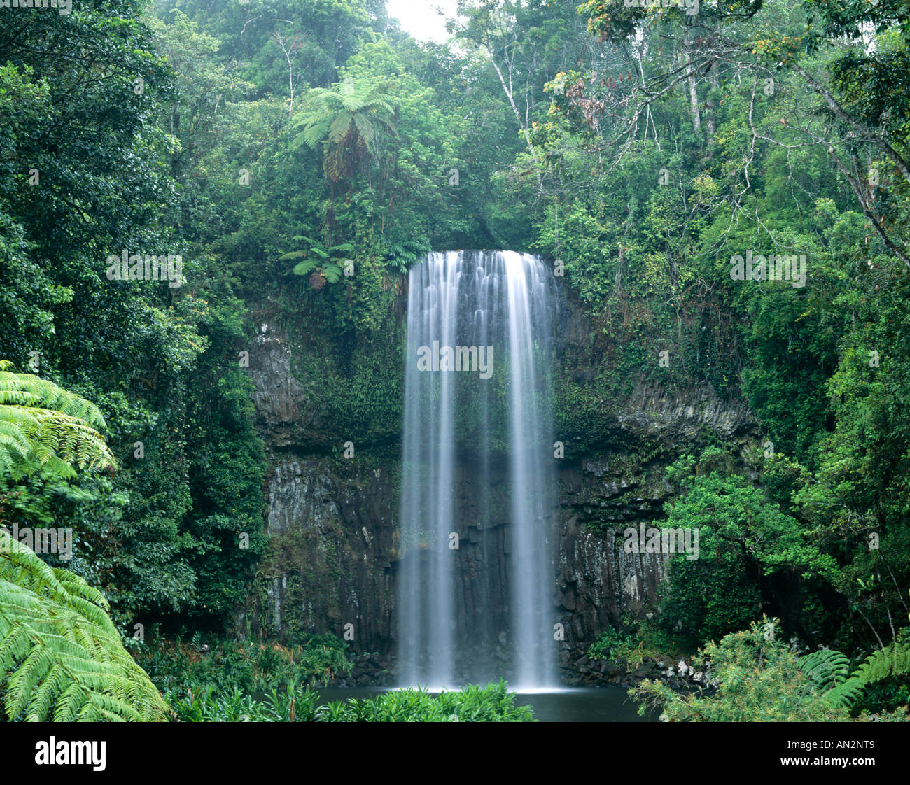 Milla Milla Falls , Cairns, Queensland, Australia Stock Photo - Alamy