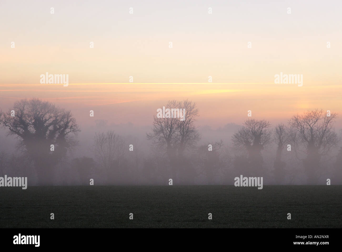 Winter frost mist glow uk hi-res stock photography and images - Alamy