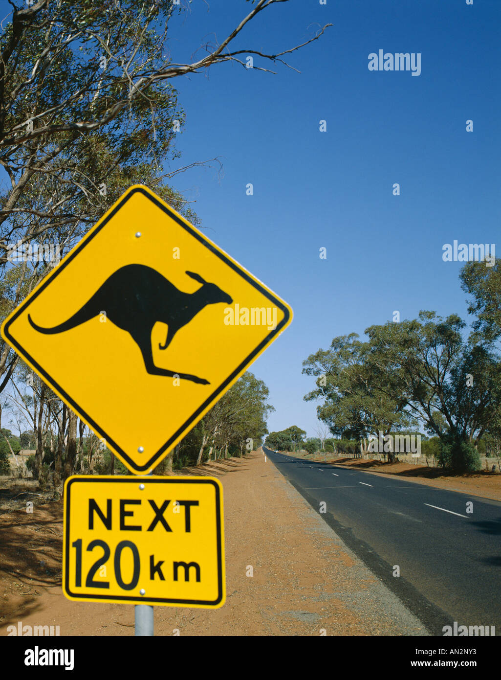 Kangaroo Road Sign & Road, Northern Territory, Australia Stock Photo ...