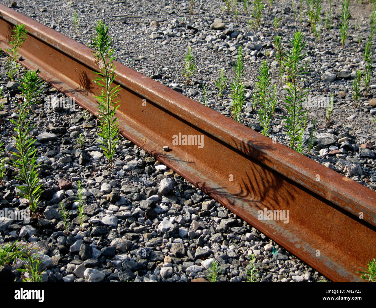 Rusty railroad track with weeds hi-res stock photography and images - Alamy