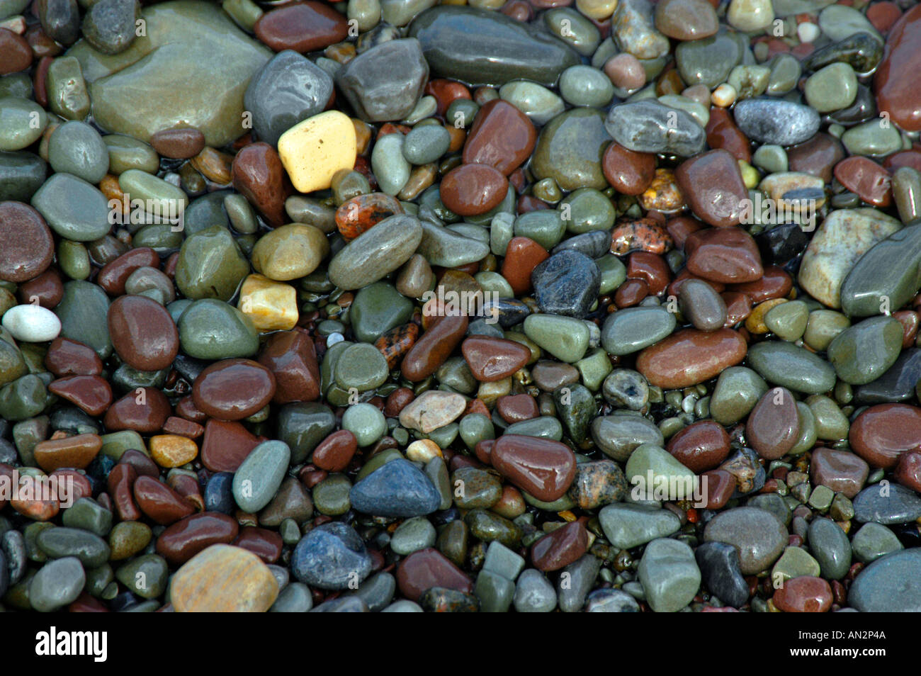 Colorful river pebbles Stock Photo - Alamy