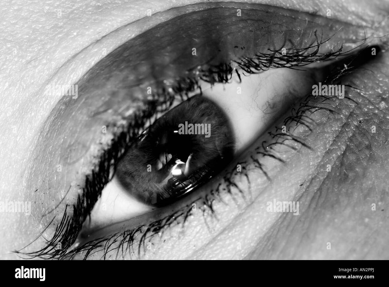 photograph closeup of an eye Stock Photo - Alamy