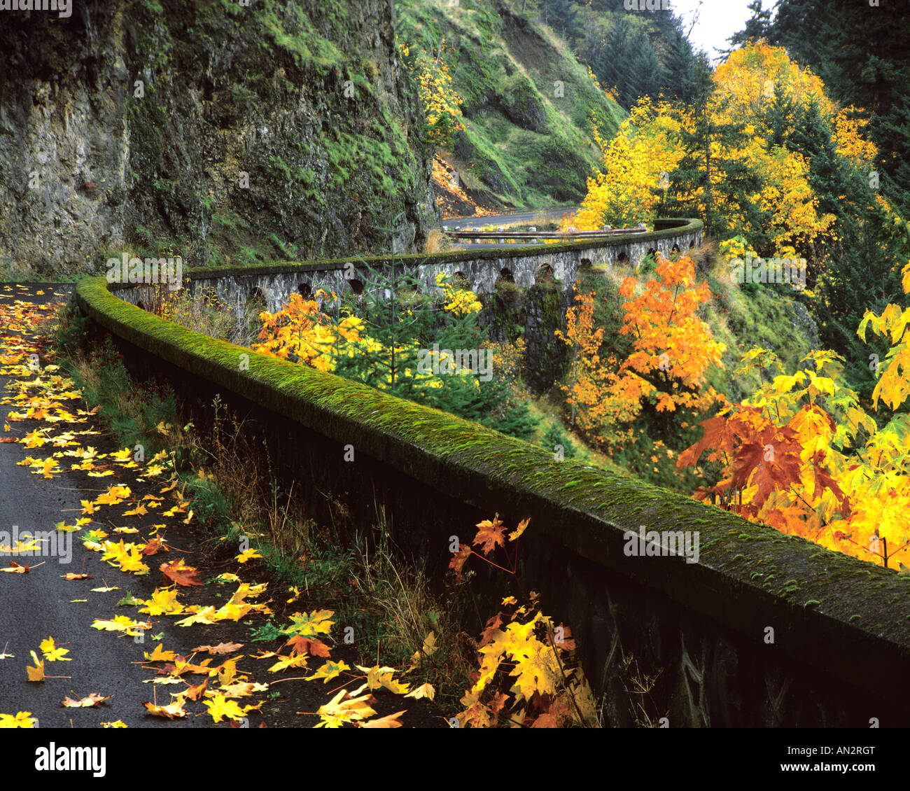 USA, Oregon, Columbia River Gorge National Scenic Area, Original ...