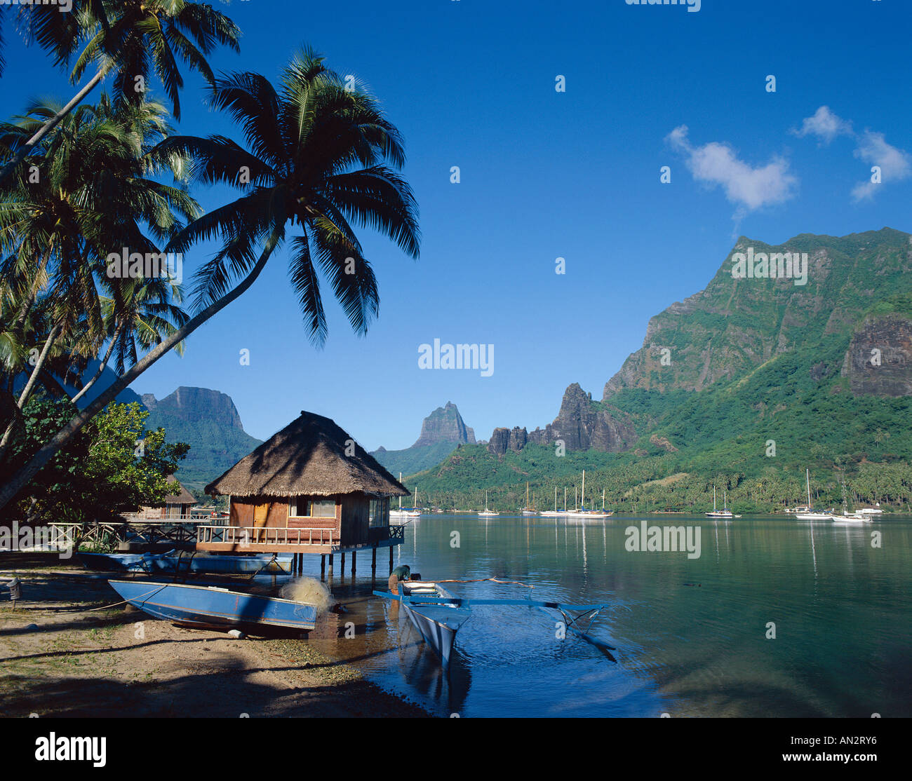 Moorea cooks bay hi-res stock photography and images - Alamy