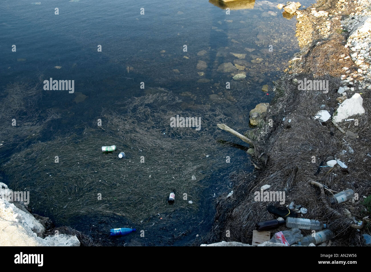 plastic bottle abandoned water pollution polluted croatia Stock Photo ...