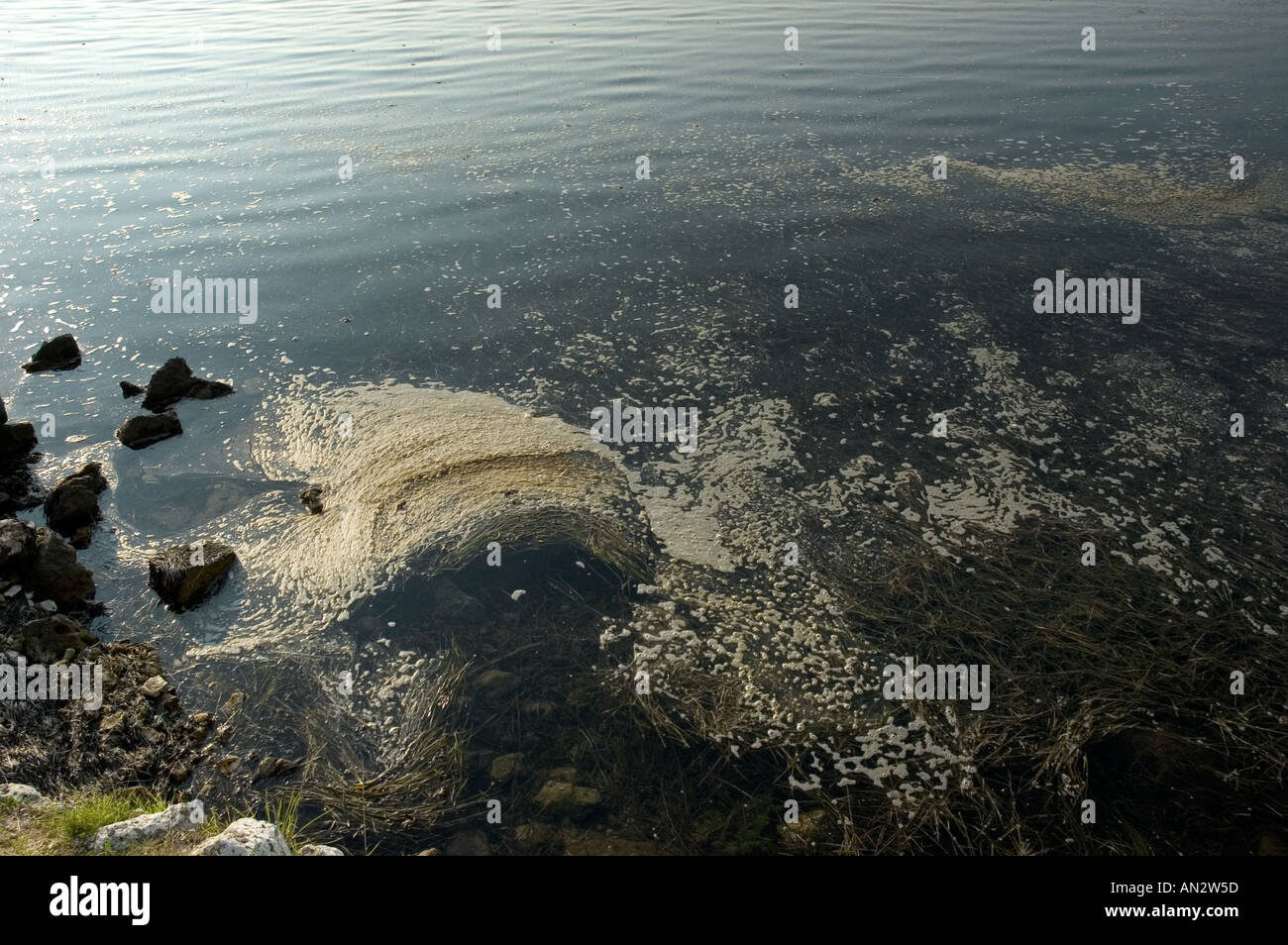 plastic bottle abandoned water pollution polluted croatia Stock Photo ...