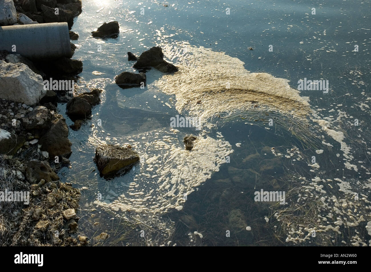 plastic bottle abandoned water pollution polluted croatia Stock Photo ...