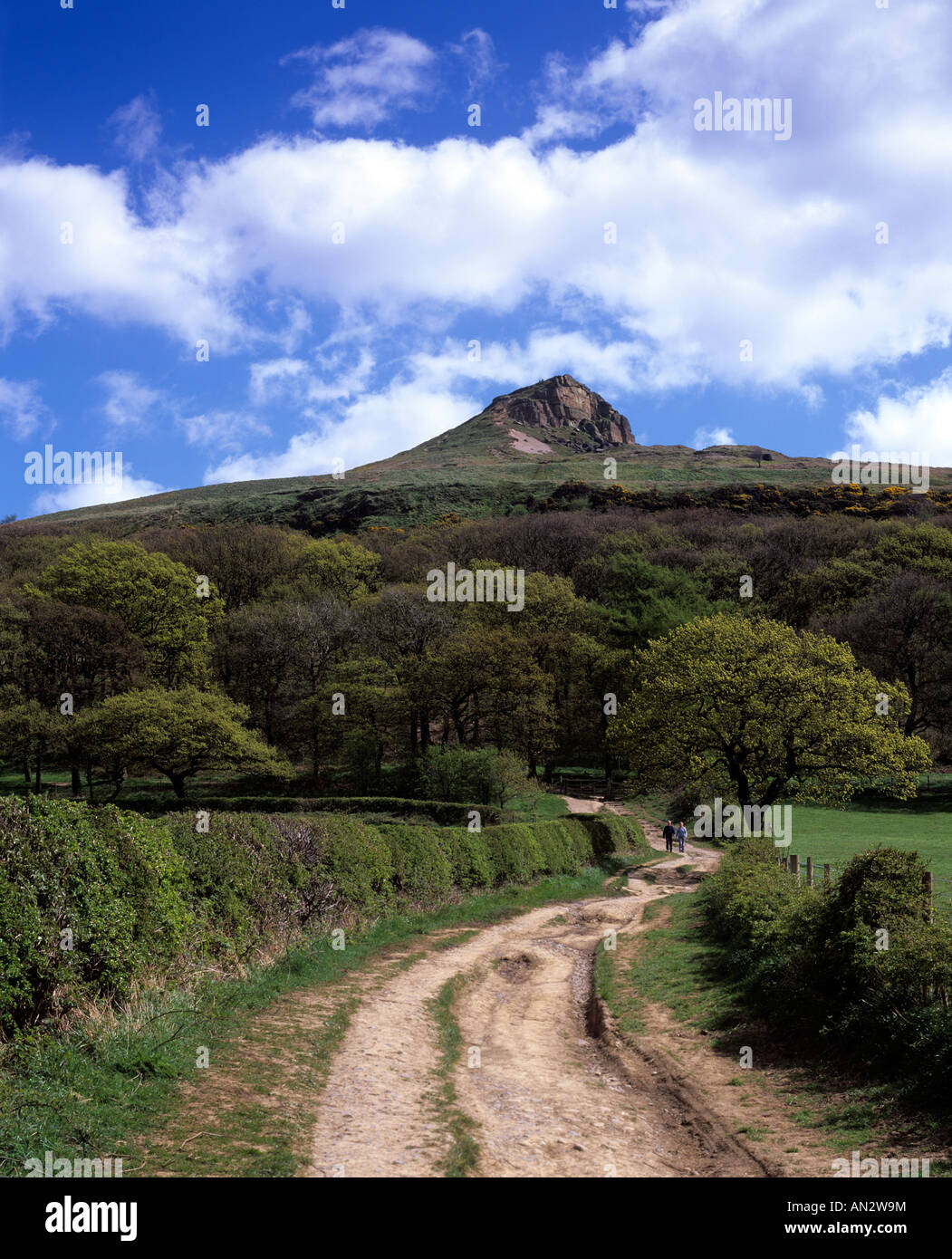 Roseberry Topping in North Yorkshire Moors National Park and part of ...