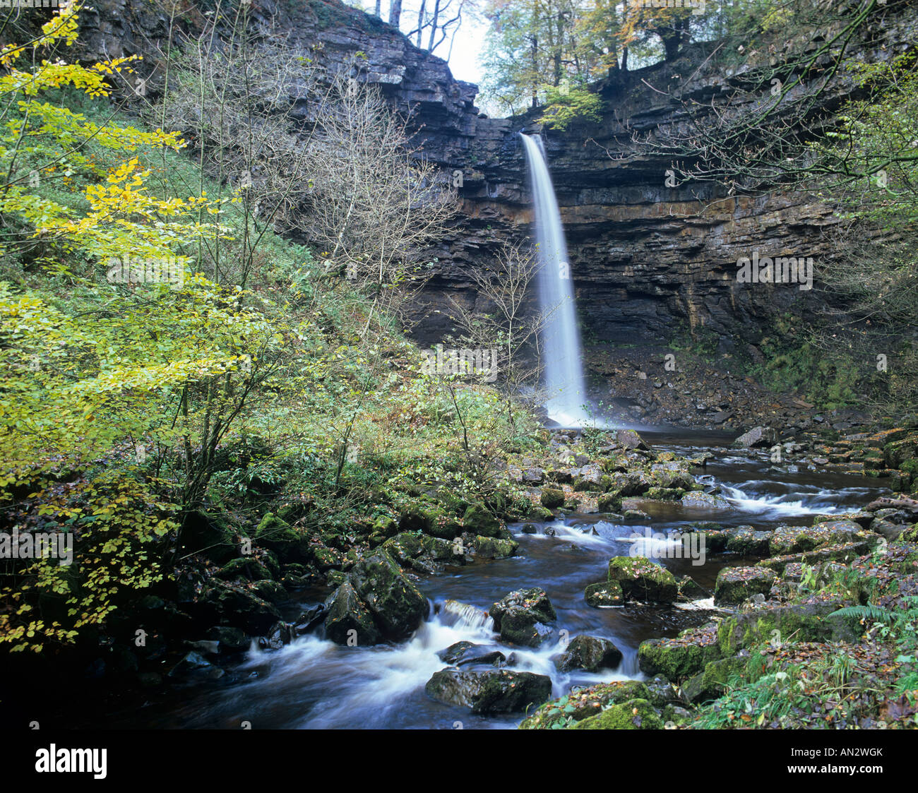 Hardraw Force is a famous waterfall in Wensleydale, North Yorkshire ...