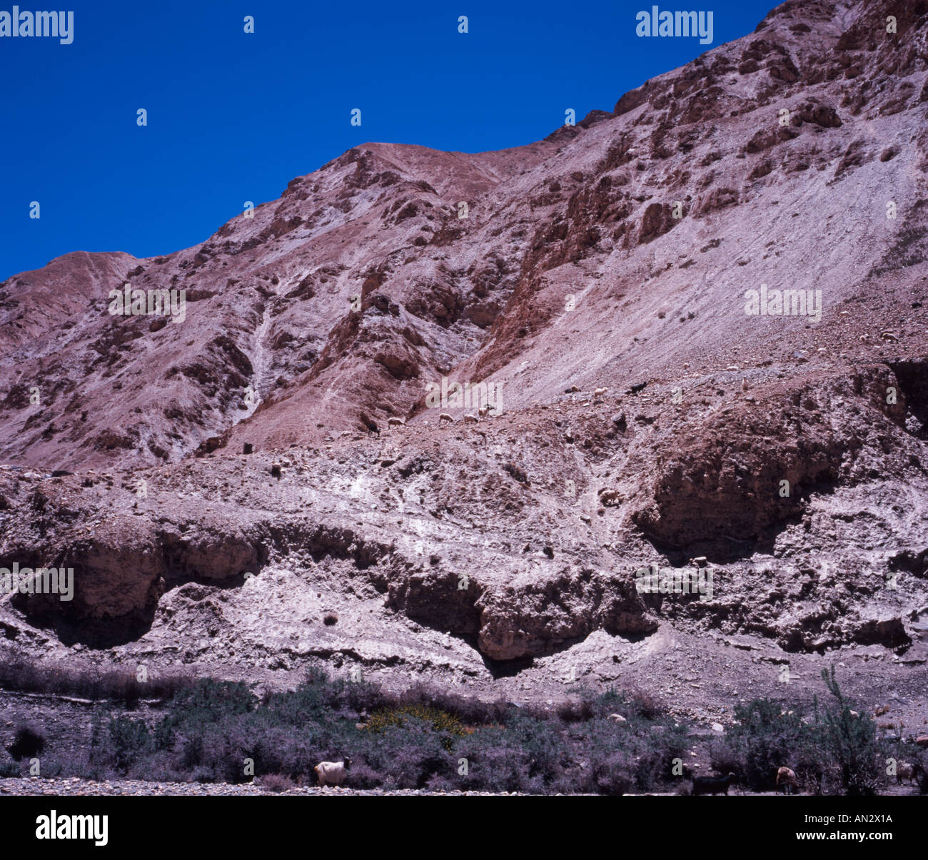 Markha Valley Trek Ladakh India Stock Photo - Alamy