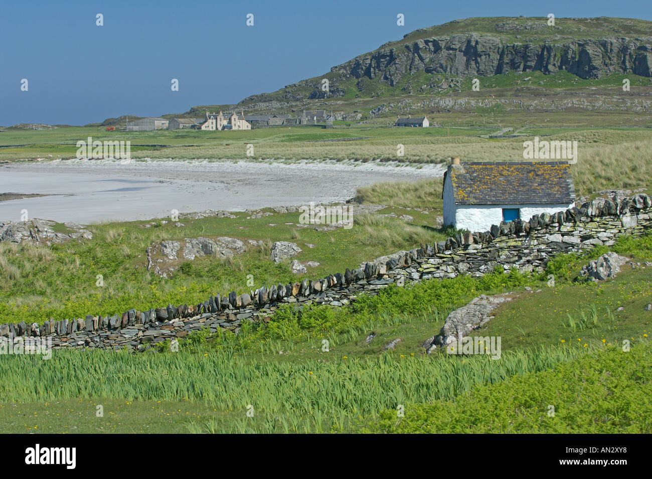 Kelpers hi-res stock photography and images - Alamy