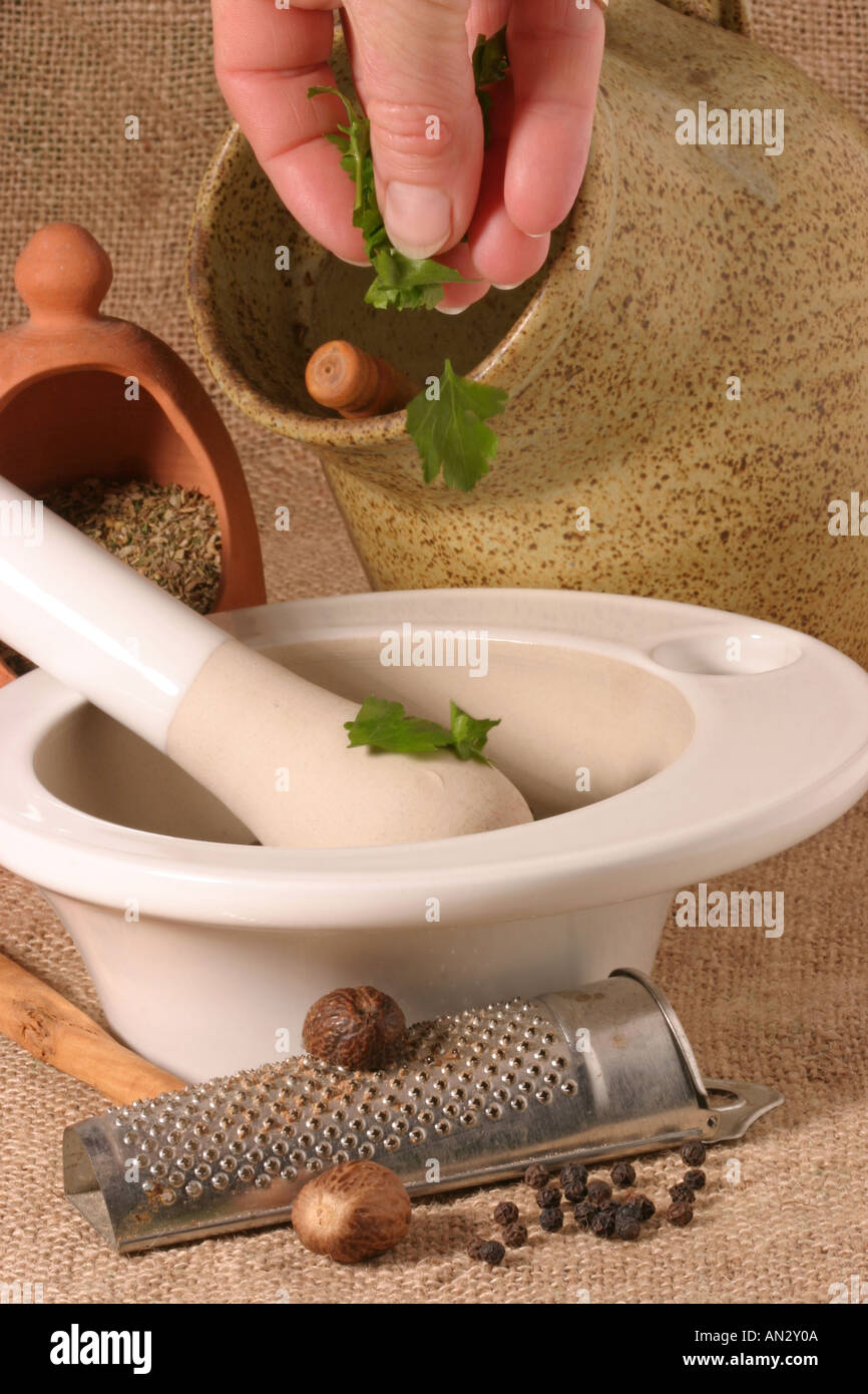 Spices and Herbs with a female hand sprinkling leaves into a pestle and ...