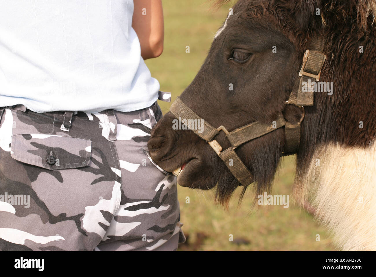Cheeky bottom hi-res stock photography and images - Alamy