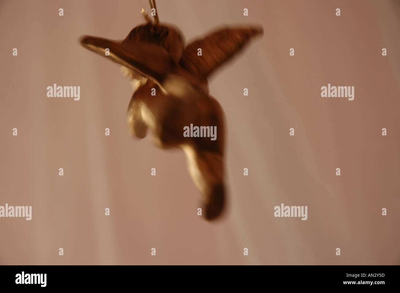 Moti fest hi-res stock photography and images - Alamy