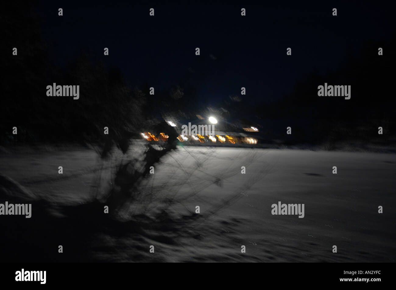 Wiggly Tree High Resolution Stock Photography and Images - Alamy