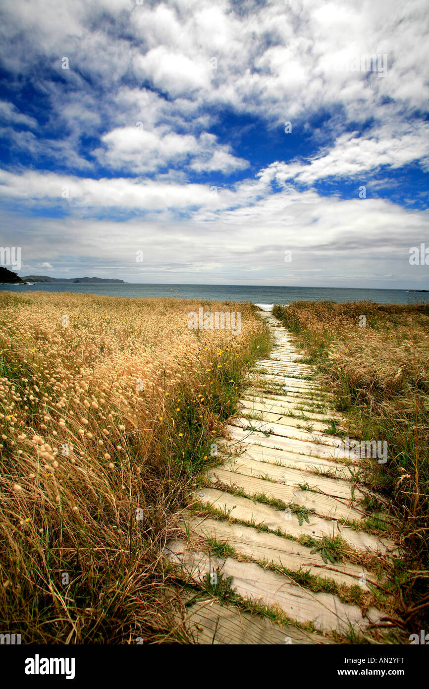 Walkway through sand dunes new hi-res stock photography and images - Alamy