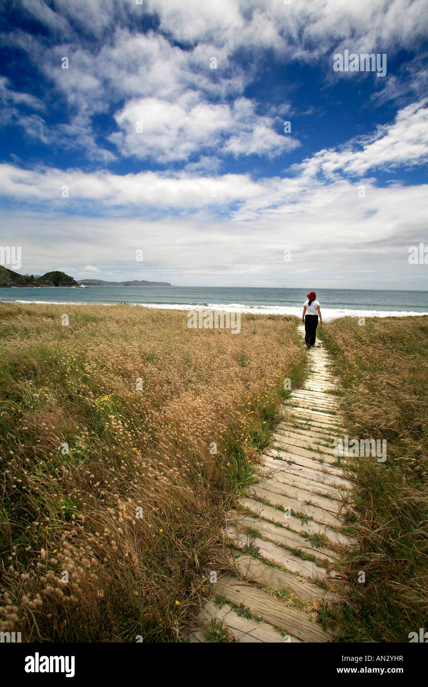 Path through sand dunes beach hi-res stock photography and images - Alamy
