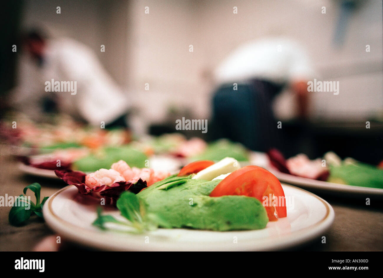 starter meals preparation in a busy restaurant kitchen with the chefs ...